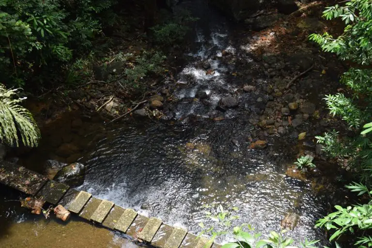 Ranchan Recreational Park, Serian’s Famous Picnic Spot | KajoMag