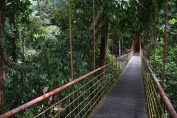 Ranchan Recreational Park, Serian’s Famous Picnic Spot | KajoMag