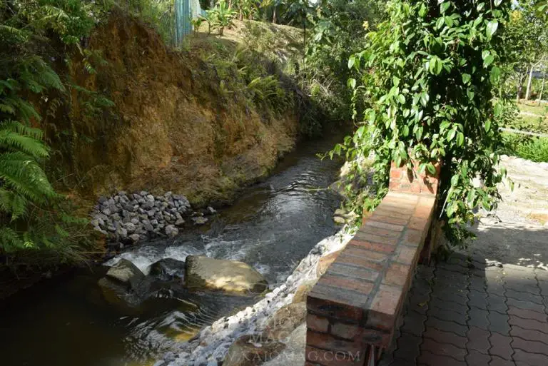Tebedu's KLB Garden Makes The Perfect Visit For Families And Couples ...