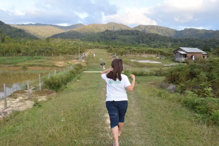 10 Reasons You Should Visit Krayan Highlands In The Heart Of Borneo ...