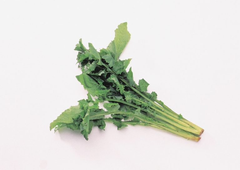 13 New Zealand's traditional ingredients you should know about • KajoMag